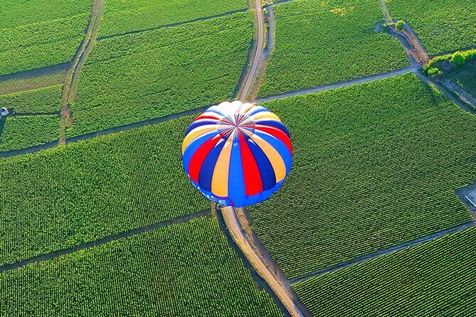 Burgundy Hot-Air Balloon Ride from Beaune - Final Thoughts