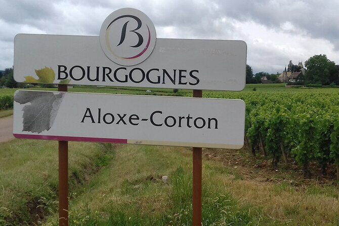Burgundy Wine Lovers Day Tour with Private Driver - Key Points
