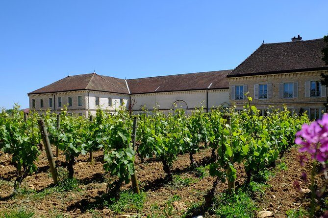 Burgundy wine trail from Beaune to Macon - FAQ