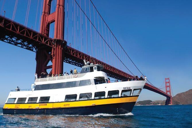 Bus & Boat Adventure - The Bus & Boat Adventure: What You Need to Know