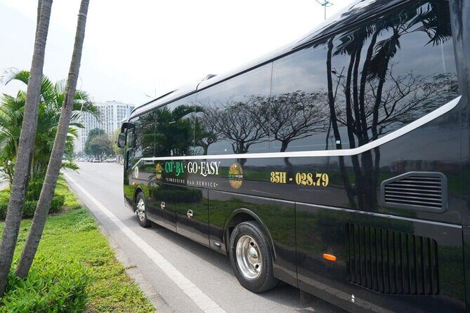 Bus Ha Noi to Cat Ba - Who Is This Tour Best For?