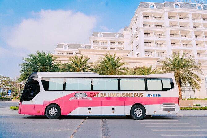 Bus Ha Noi to Cat Ba island - A Closer Look at the Journey