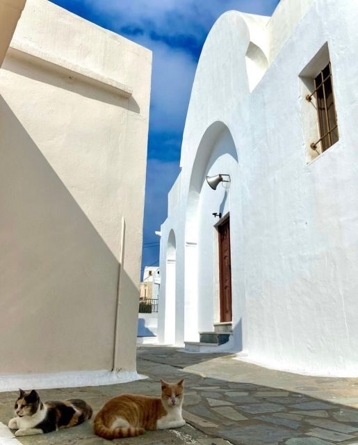Bus Tour Around the island of Naxos - Who This Tour is Perfect For