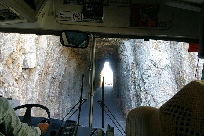 Bus Tour of Mount Rushmore and the Black Hills - Perfect for Who?