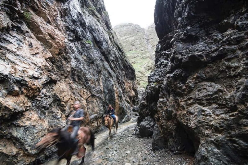 Bus tour to visit Gobi 4 day - An In-Depth Look at the 4-Day Gobi Tour