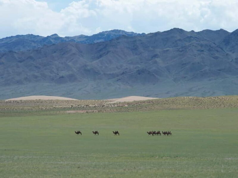 Bus tour to visit Gobi 4 day - The Sum Up