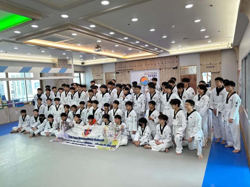 Busan: 1 Hour Taekwondo Experience with Master - Who Should Consider This Tour?