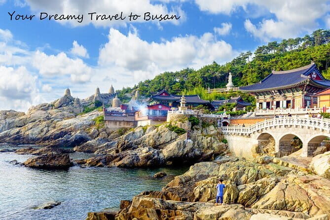 Busan 10 Highlights Tour - Transportation and Practicalities