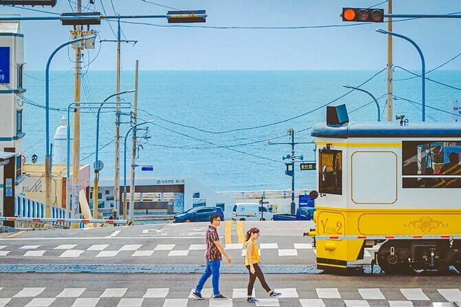 Busan 10 Highlights Tour - Who Is This Tour Ideal For?