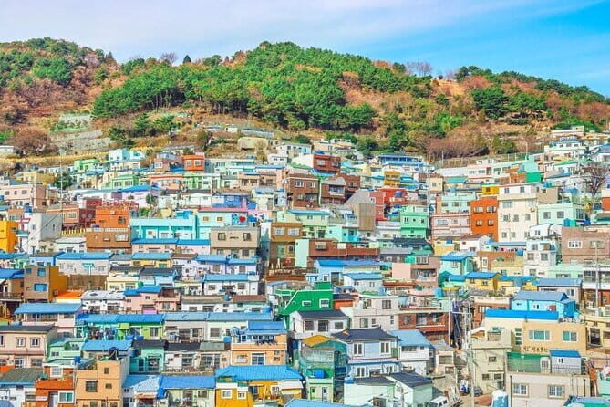 Busan 6hr Private Walking Tour with Certified Guide - Exploring Busan: A 6-Hour Private Walking Experience