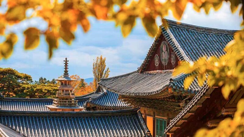 Busan: 7 Highlights Gyeongju City One Day Tour - The Practicalities