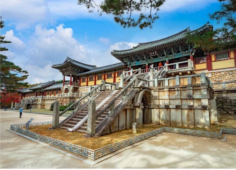 Busan: 7 Highlights Gyeongju City One Day Tour - Final Thoughts—Who Is This Tour Best For?