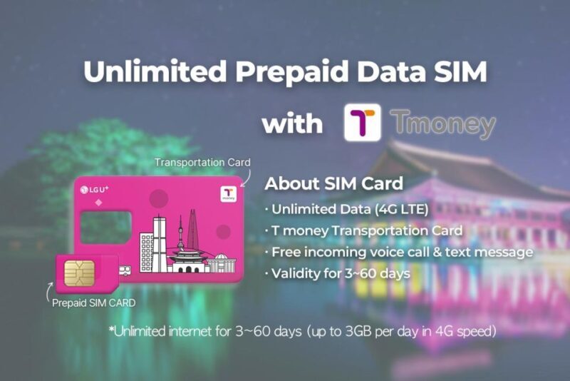 Busan Airport: Traveler SIM and Public Transportation Card - Introduction: A Smart Start to Your Korea Journey