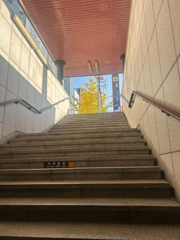 Busan: Beomeosa Temple Tour with Meal and Hike Option - Authentic Cultural Experience in a Short Time