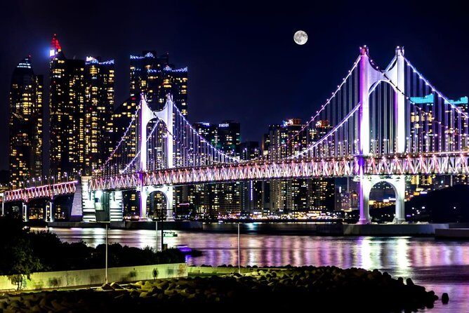Busan by Night - The Bottom Line