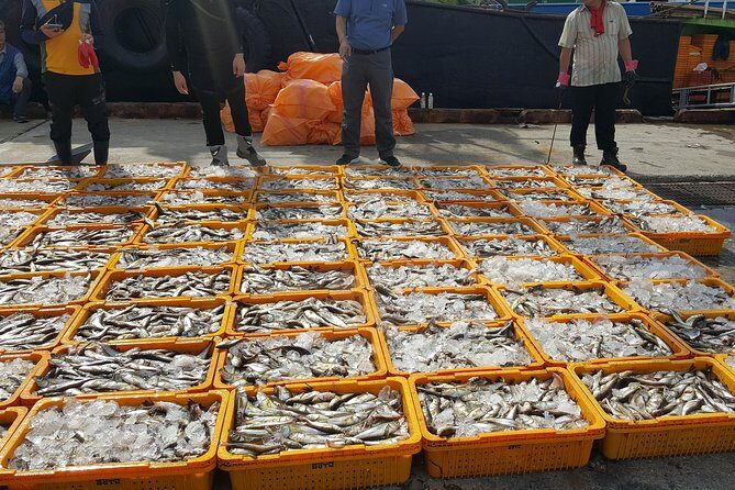 Busan city tour from Seoul by KTX bullet train - FAQs