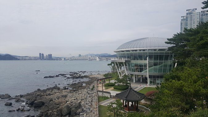 Busan city tour from Seoul by KTX bullet train - A Detailed Look at What You’ll Experience