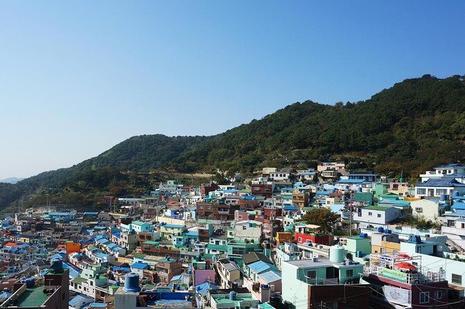 Busan City Tour Including Gamcheon Culture village and Haedong Yonggungsa Temple - Exploring Busan: A Detailed Look at the City Tour Including Gamcheon and Haedong Yonggungsa