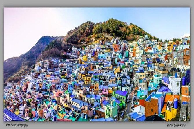 Busan City Tour Including Gamcheon Culture village and Haedong Yonggungsa Temple - Final Thoughts