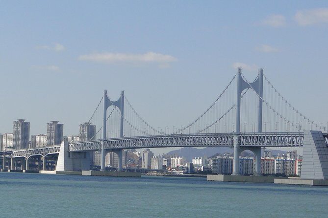 Busan City Tour Including Haedong Yonggungsa Temple And APEC House - Key Points