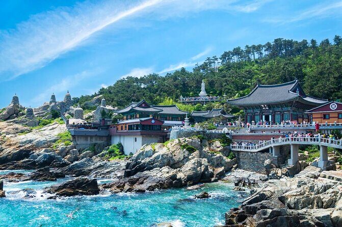 Busan City Tour Including Haedong Yonggungsa Temple And APEC House - The Itinerary Breakdown
