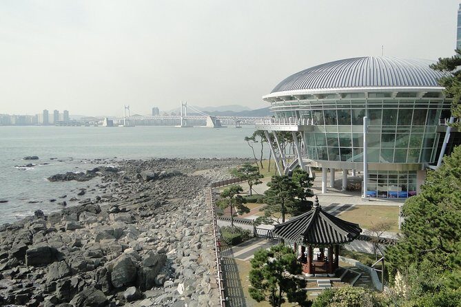 Busan City Tour Including Haedong Yonggungsa Temple And APEC House - Who Will Enjoy This Tour?