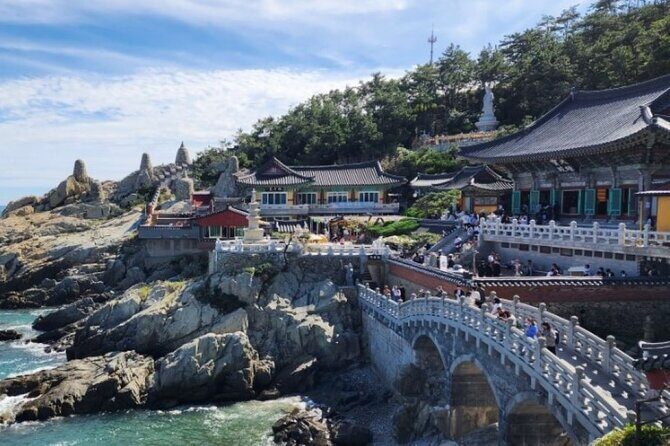 Busan city & UNESCO Tongdosa Temple Tour from Seoul by KTX Train - Final Thoughts
