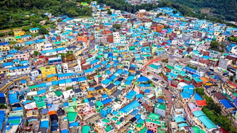 Busan: Coastal Wonders & Cultural Gems Tour opt. Sky Capsule - Lunch and Free Time