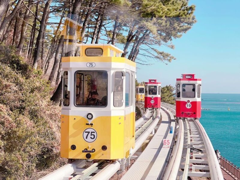 Busan: Coastal Wonders & Cultural Gems Tour opt. Sky Capsule - End of the Tour and Return