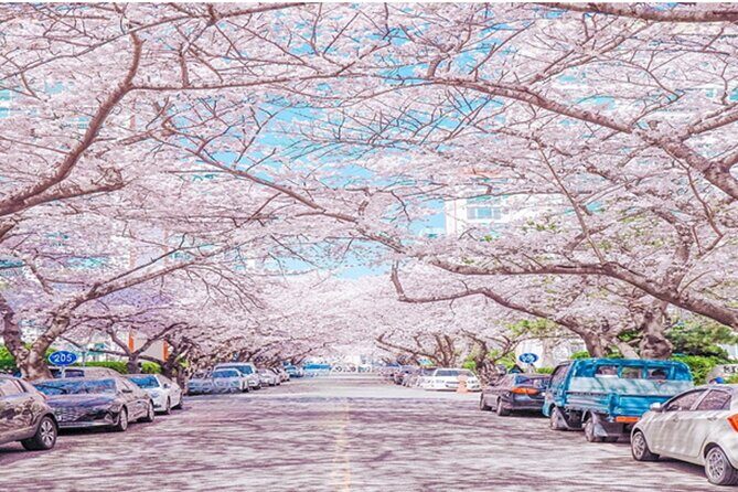 Busan Cruise Port Tour-Small Group Shore Excursion (Max 6 Guests) - FAQs