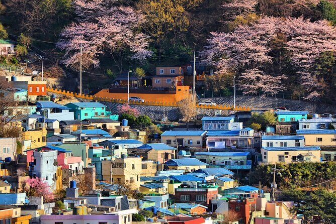 Busan Cultural Highlights and Scenic Full-Day Tour - What to Expect at Each Stop