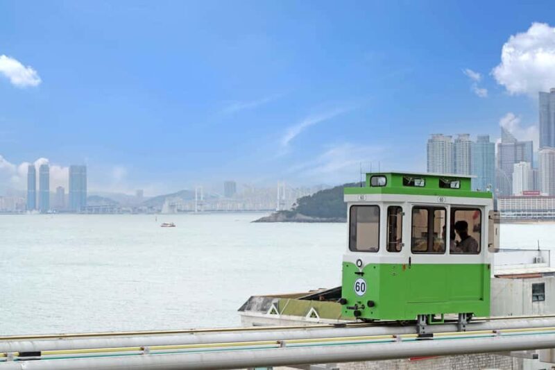 Busan Day & Night: Sky Capsule, Coastal Views & City Lights - Who Should Consider This Tour?