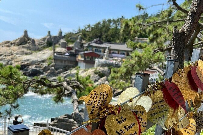 Busan Day Trip from Seoul by KTX - Private Tour with Local Guide - Who Will Love This Tour?