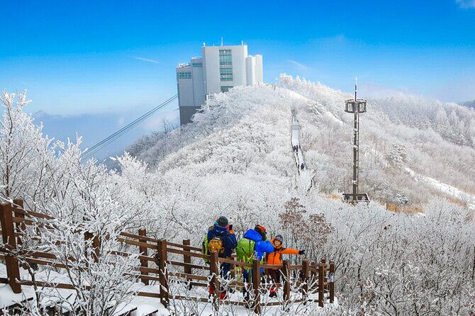 Busan Discovery Tour with Snow and UNESCO Spot - Key Points