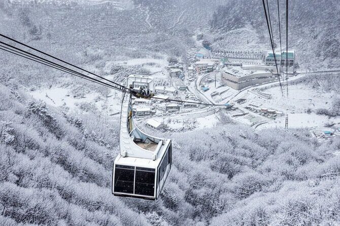 Busan Discovery Tour with Snow and UNESCO Spot - An In-Depth Look at the Tour