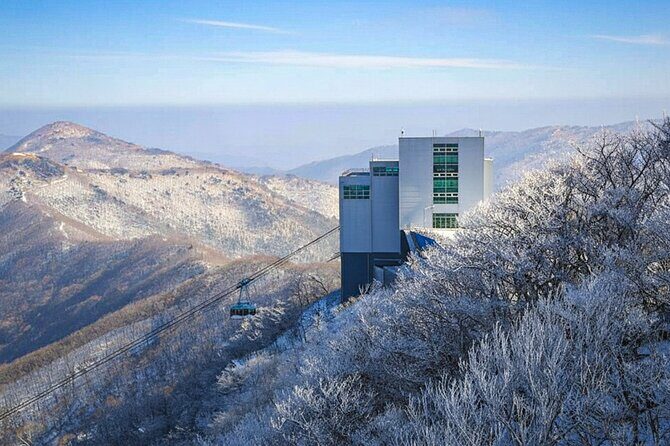 Busan Discovery Tour with Snow and UNESCO Spot - Authentic Traveler Feedback