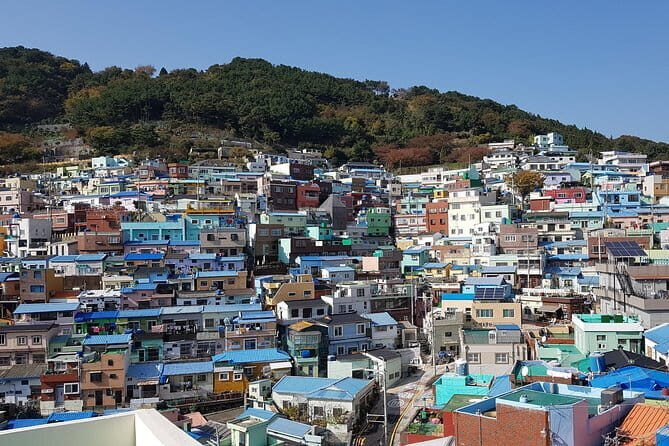 Busan Dynamic Maze Discount Ticket Foreigner Only - FAQ