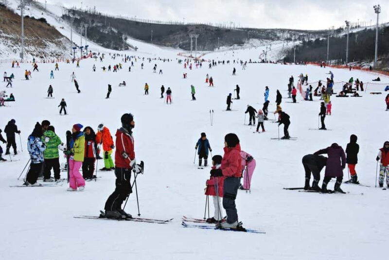 Busan: Eden Valley Resort Winter Ski Day Tour - The Real Experience: What Travelers Say