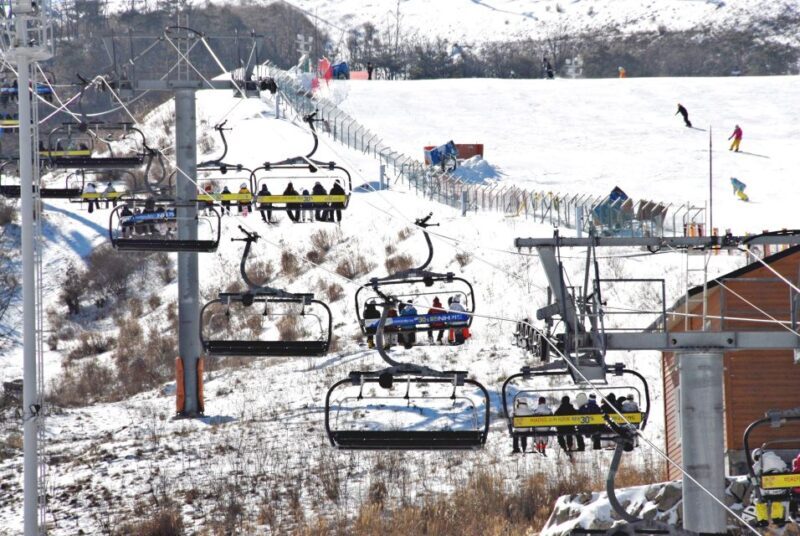 Busan: Eden Valley Resort Winter Ski Snowboard Sled Day Tour - Who Should Consider This Tour?