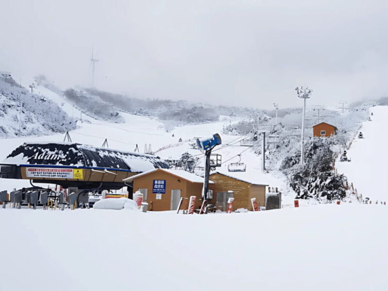 Busan: Eden Valley Ski Resort Day Trip with Equipment Rental - Who Will Love This Tour?