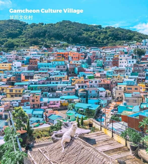 Busan: Full-Day Tour Unmissable things to do in Busan - Final Thoughts