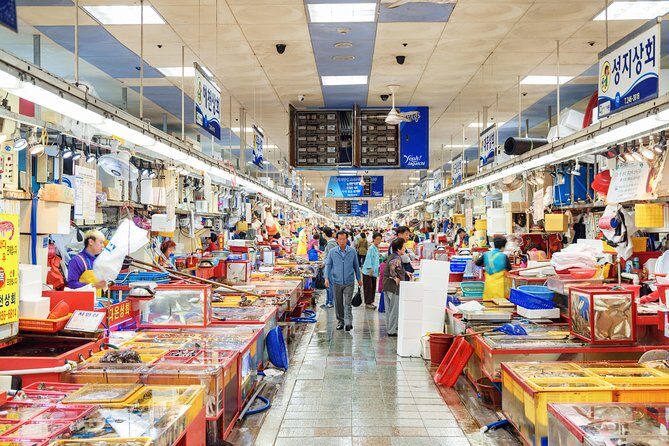 Busan: Fully Customizable Private Tour - Price and Value