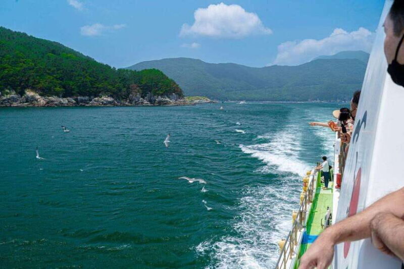 Busan: Geoje Coastal Escape, Sea Breeze& Oedo Botania Island - Who Should Consider This Tour?