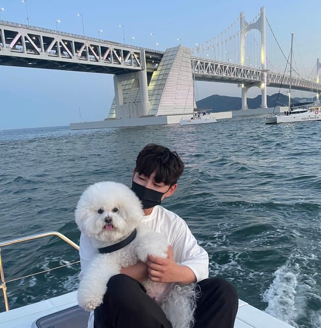Busan: Group Sightseeing Yacht Cruise with Snacks and Drinks - The Itinerary and What You Can Expect