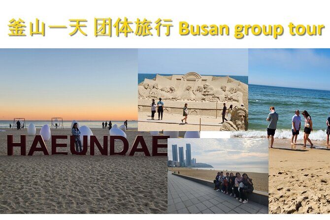 Busan Group Tour for Cruise ship passengers (Max 15 Guests) - Transportation and Logistics