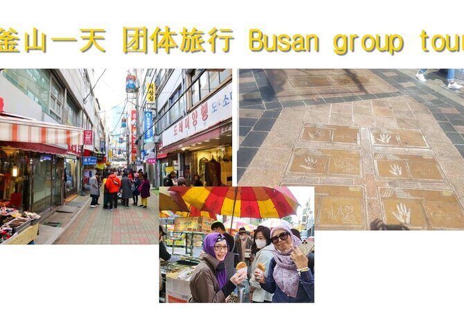 Busan Group Tour for Cruise ship passengers (Max 15 Guests) - Who Should Consider This Tour?
