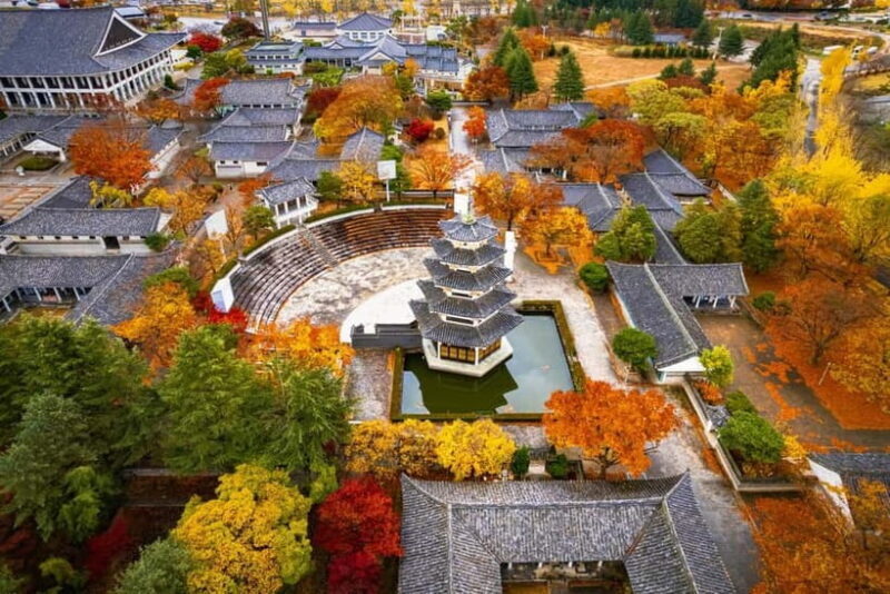 Busan: Gyeongju Autumn Foliage Day Tour with Historic Sites - Analyzing the Value and Who Will Love This Tour