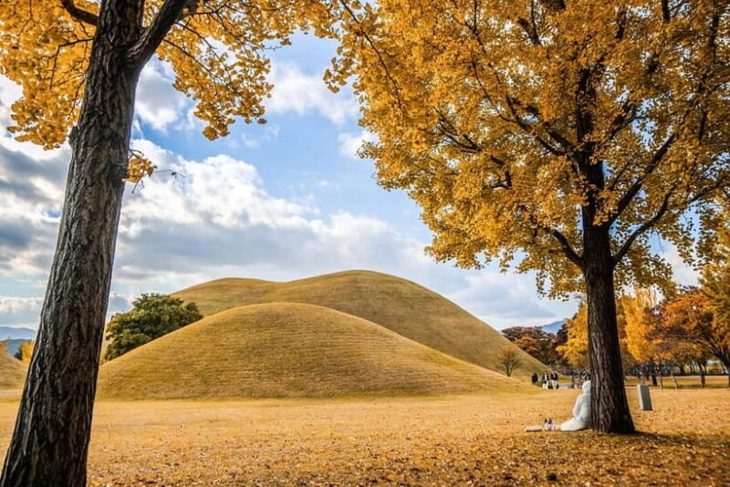 Busan: Gyeongju Autumn Foliage Day Tour with Historic Sites - The Sum Up