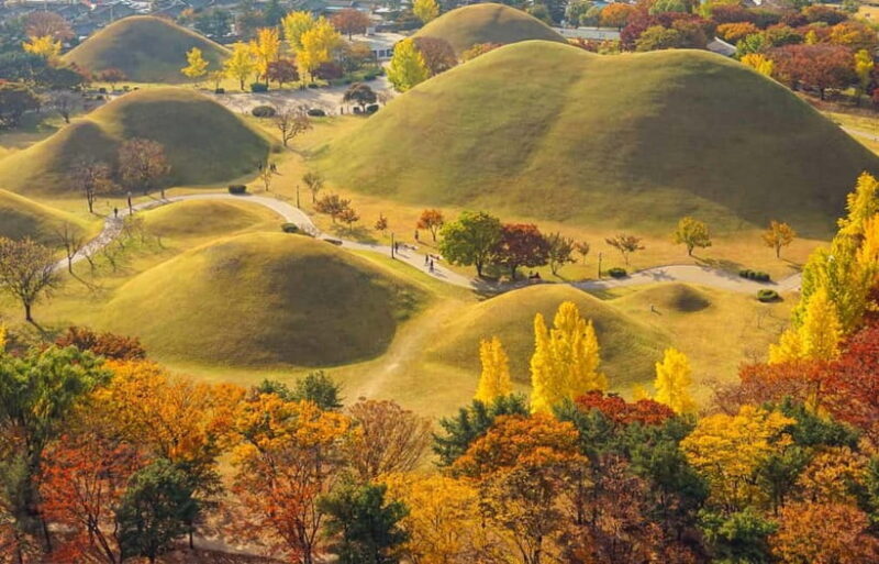 Busan: Gyeongju Autumn Foliage Day Tour with Historic Sites - FAQ