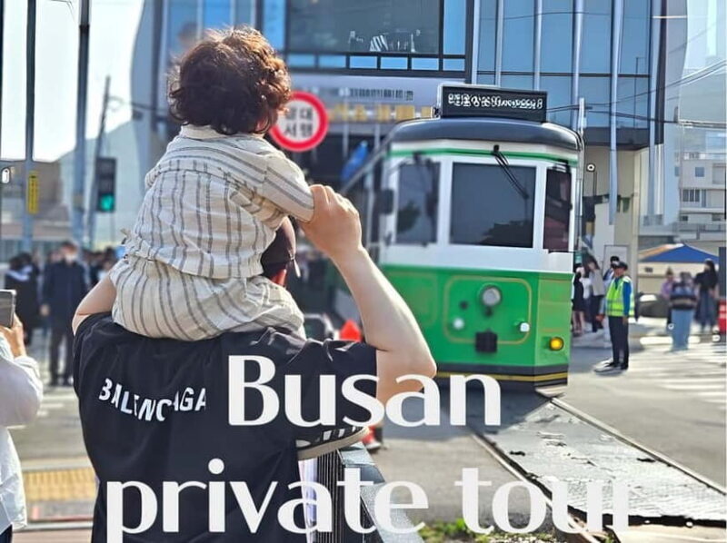 Busan / Gyeongju Customizable Private Tour (up to 8pax) - A Closer Look at the Itinerary and Highlights